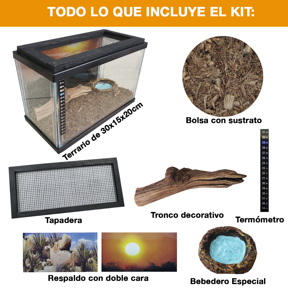 Kit Terrario Para Reptiles – Tarantula y Escorpiones – EL TIO MASCOTAS